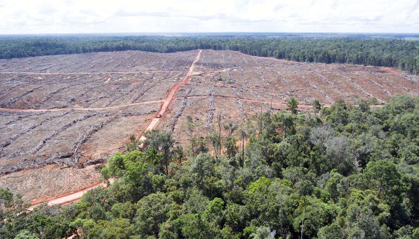 PREVENTING DEFORESTATION IN LATIN AMERICA - Waxman Strategies